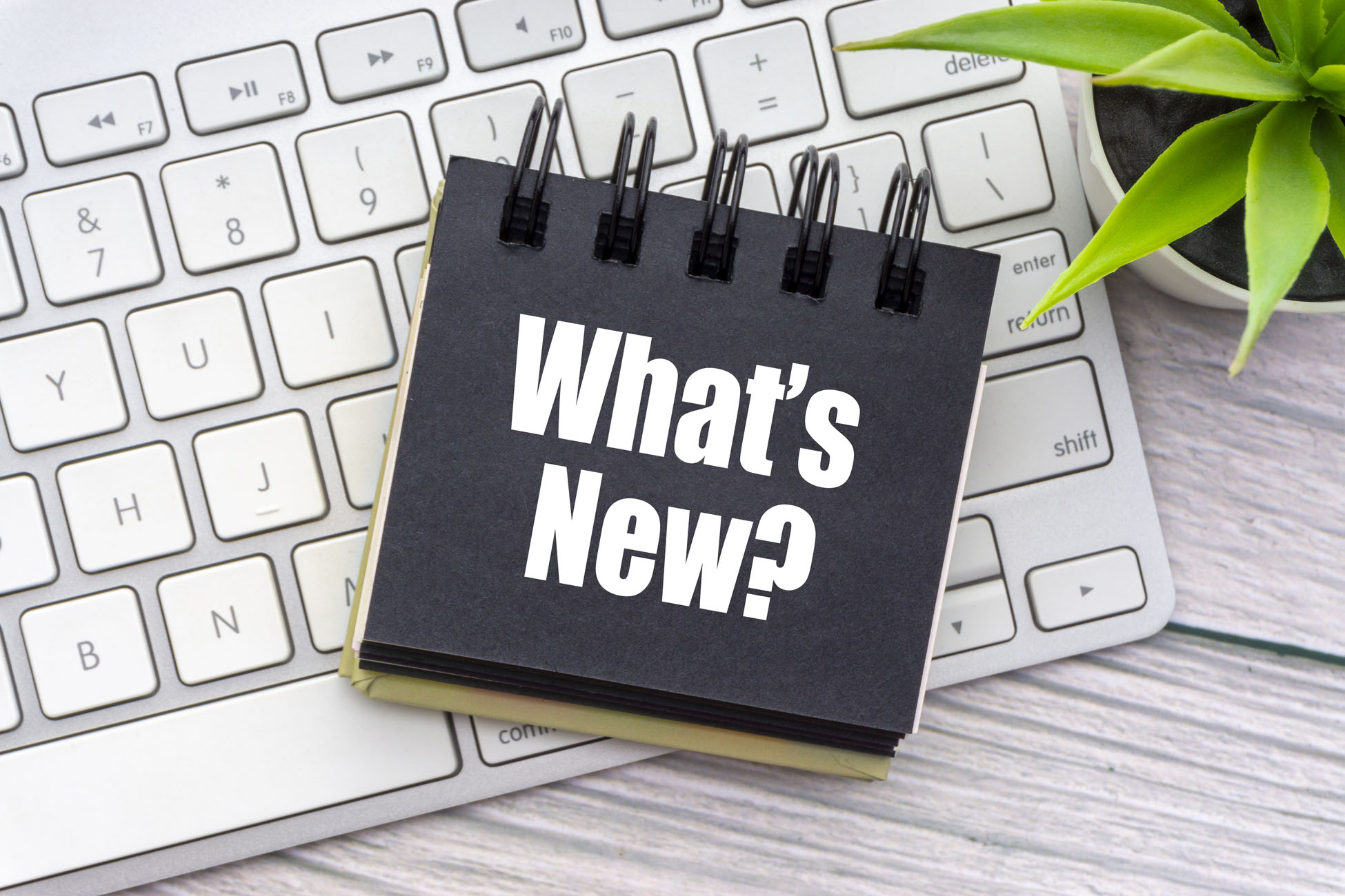 お知らせ｜SECURE-DX | セキュアディーエックス